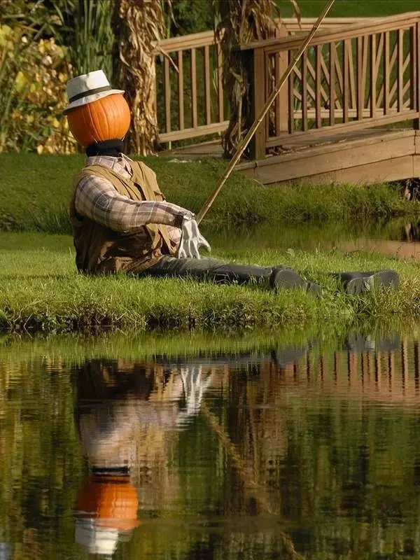 Boston, Massachusetts: Frog Pond Pumpkin Float
