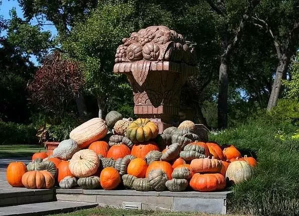 Dallas, Texas: Hydref yn yr Arboretum