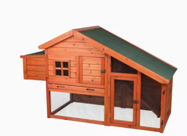 Chicken Coop