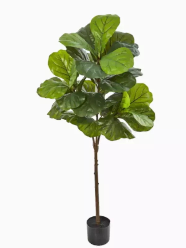 Tree.png