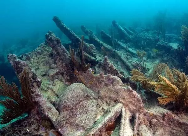 Biscayne National Park shipwreck