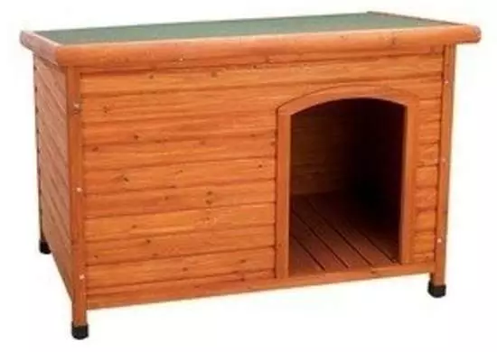 A Canine Shelter