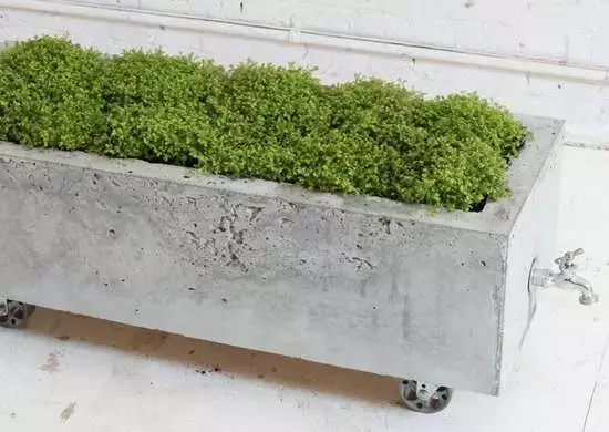 Planter perfektion