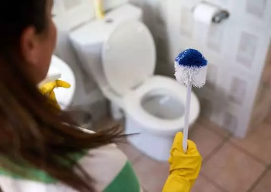 Как почистить туалетную щетку