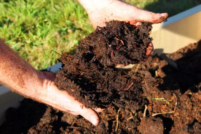 Inyinya nri compost na ikpuru n'aka