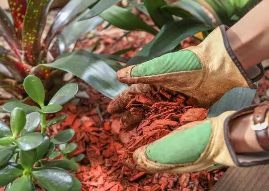 Prevenire l'erosione del giardino con il pacciame