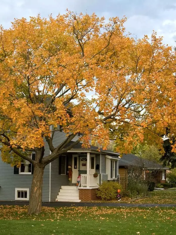 Kontrolný zoznam jesennej údržby domu