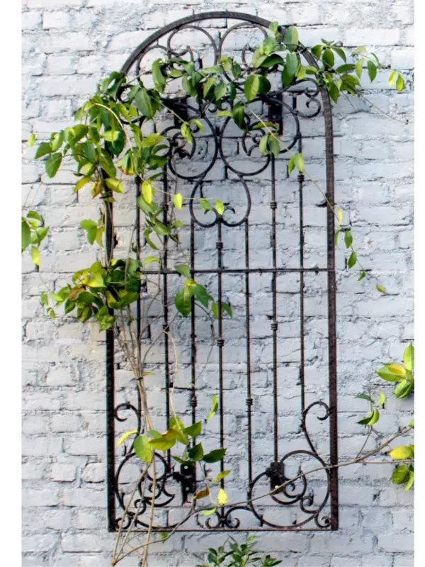 Trellis Wall