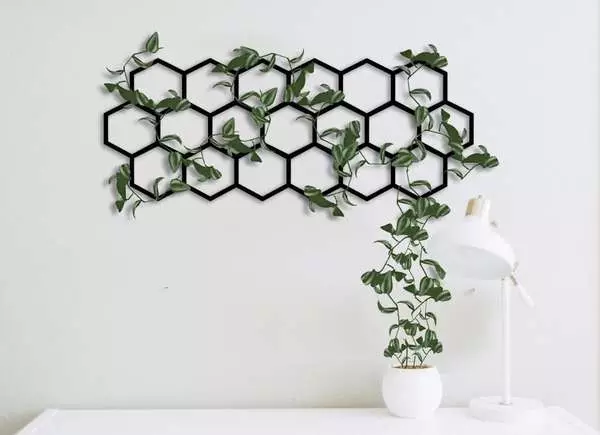 Honeycomb Trellis