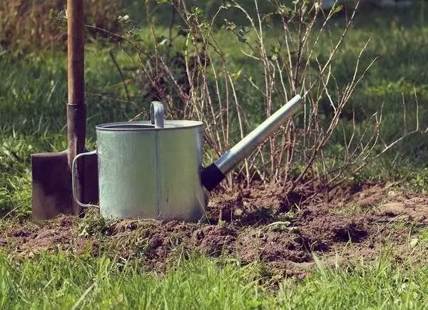 Di payîz û zivistanê de nebatan av didin