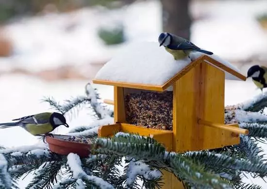DIY Bird House for Winter