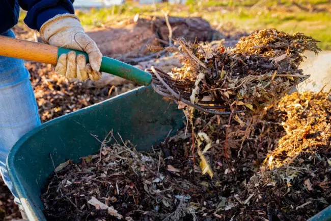 Cómo cultivar tus propios alimentos agregando enmiendas al suelo