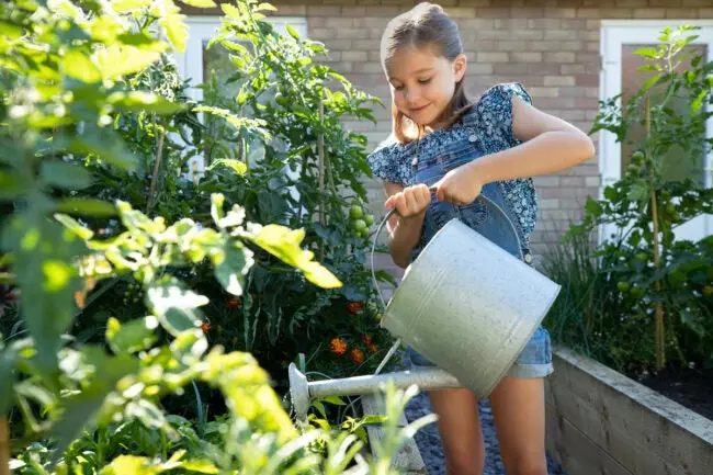 kako uzgajati vlastite biljke za zalijevanje i hranjenje hranom