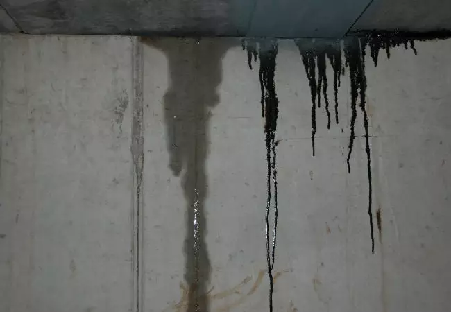 Tips Teratas untuk Waterproofing Dinding Basement