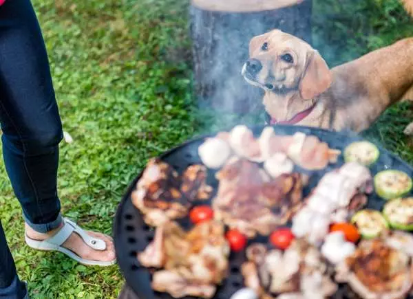 بالىلار ۋە ئەرمەك ھايۋانلارنى يىراقلاشتۇرۇڭ