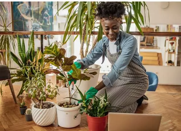 Mujer mirando la computadora y cuidando las plantas