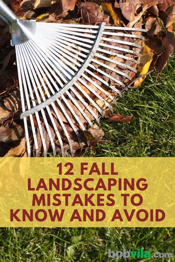12 fall landscaping tips