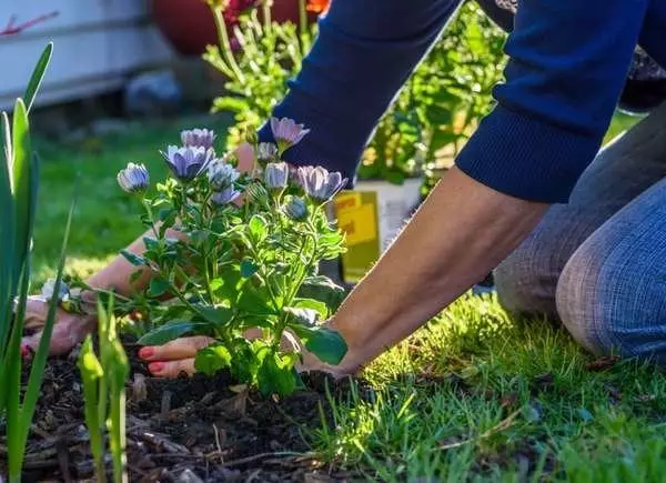 fouten in de tuin om van te leren