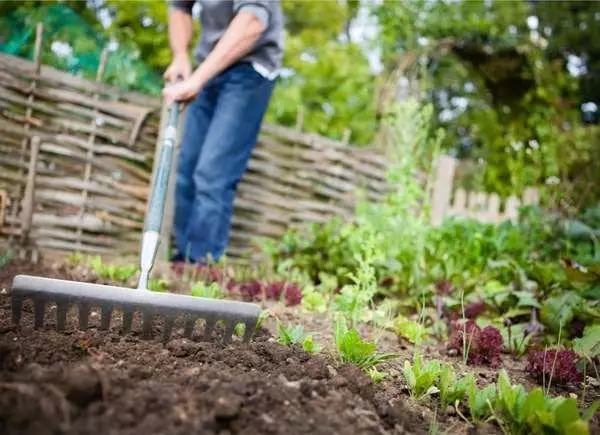 Grond voorbereiden voor tuin