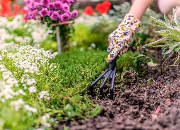 Overvul de tuin niet