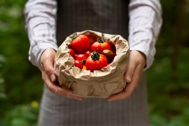 Cách bảo quản cà chua