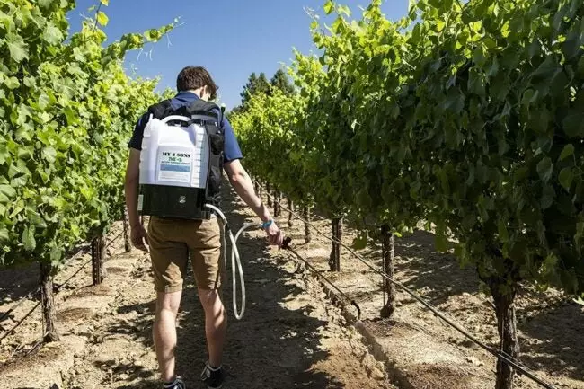 L-Aqwa Għażla tal-Isprejer tal-Backpack