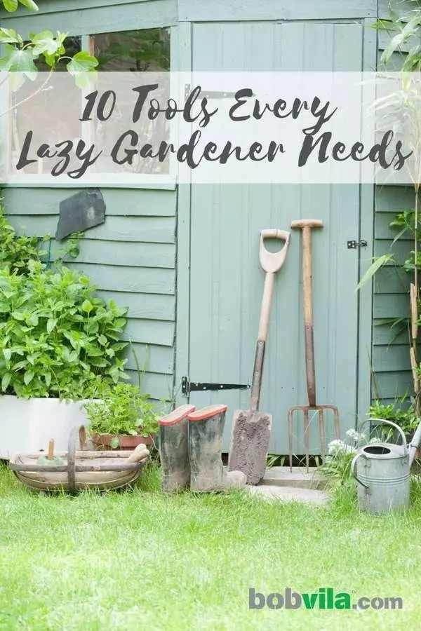 Beste gereedskap vir lui of beginner tuiniers