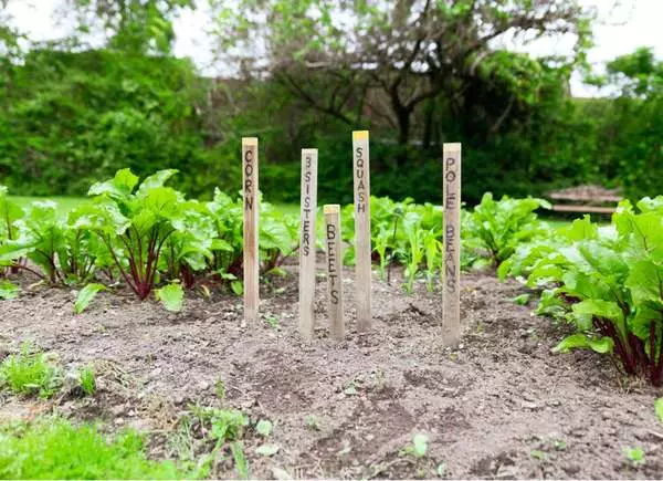 drie susters tuin tema