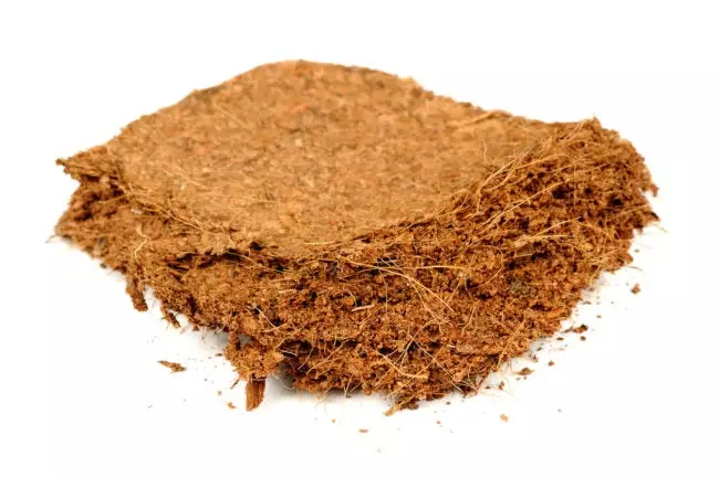 diy potting soil -- Usa ka piraso sa coconut coir brick (gigamit isip medium nga nagtubo o pag-amendar sa yuta) nga gilain sa puti nga background