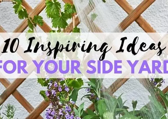 10 Side Yard Ideas