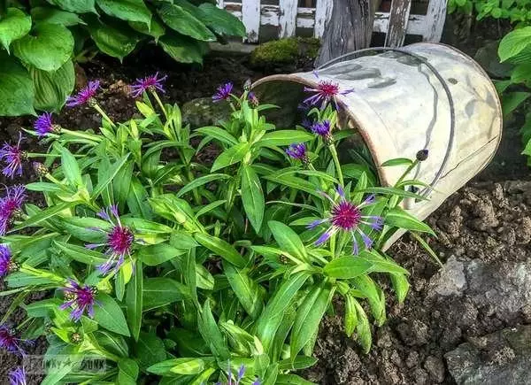 DIY Spilled Flower Pot