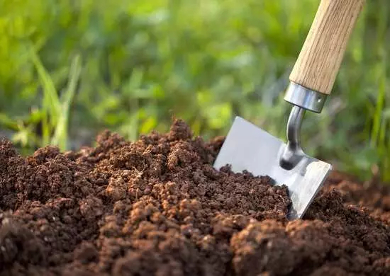 Différents types de sol pour la croissance des plantes
