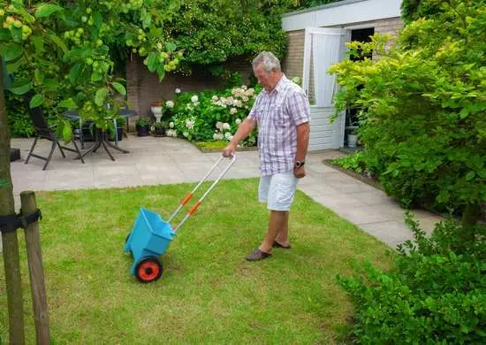 Reseed the Lawn in Spring