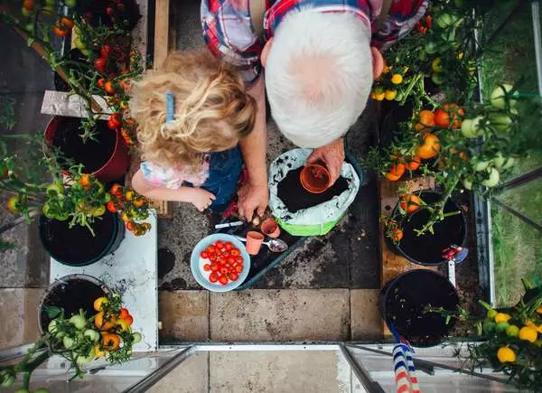 Imatge aèria de persones que fan jardineria a casa