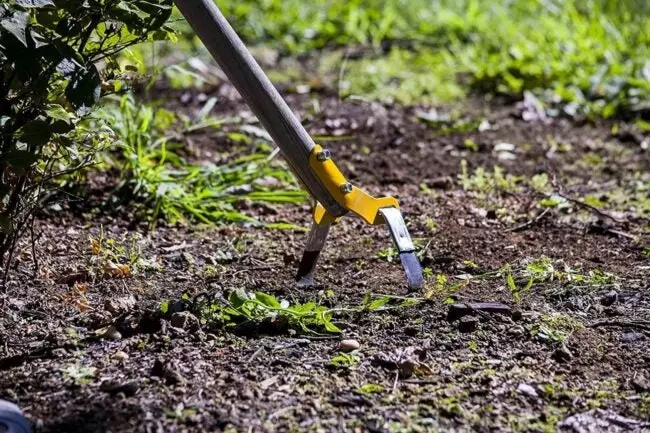 La migliore opzione di zappa da giardino