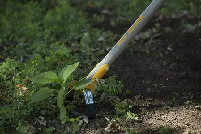 La migliore opzione di zappa da giardino