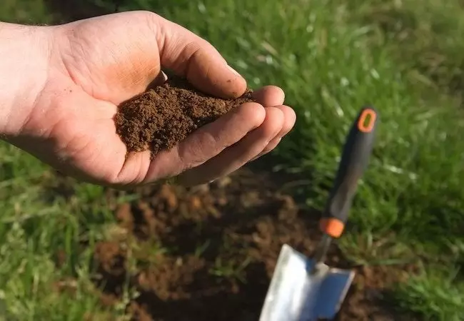 مراقبت از چمن بهار - آزمایش خاک