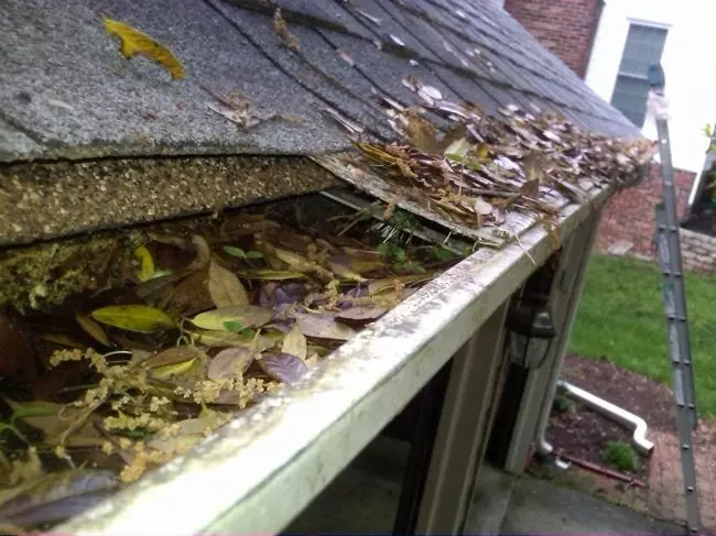 Spring Gutter Cleaning