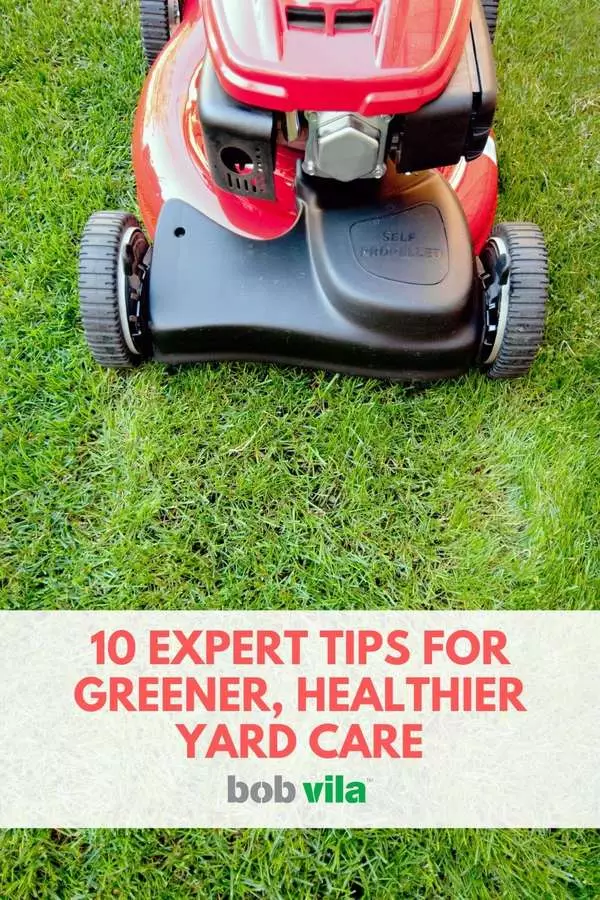 自宅で健康な芝生のためのアドバイス、ヒント、ハック