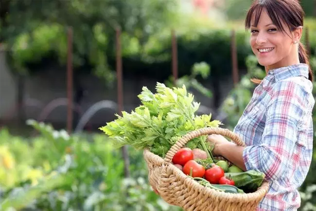 Bakit (at Paano) Dapat Magtanim ng Victory Garden Ngayong Season