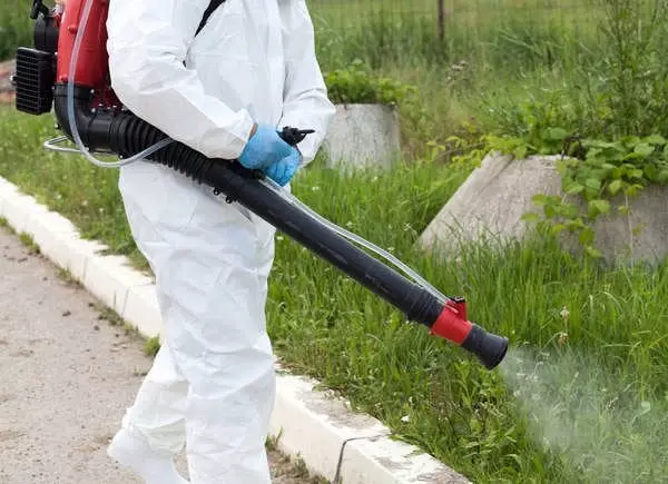 O tratamento químico contra os mosquitos mata as bolboretas
