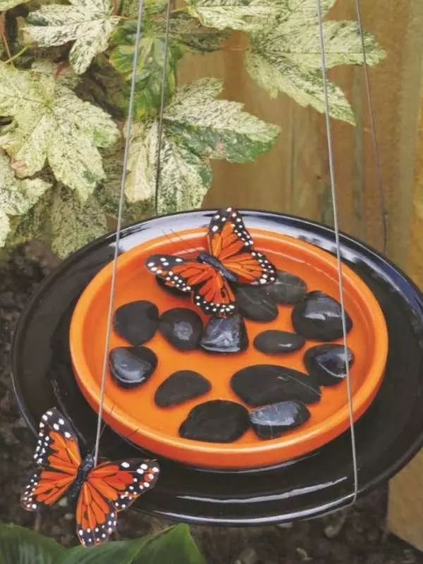 DIY butterfly bath
