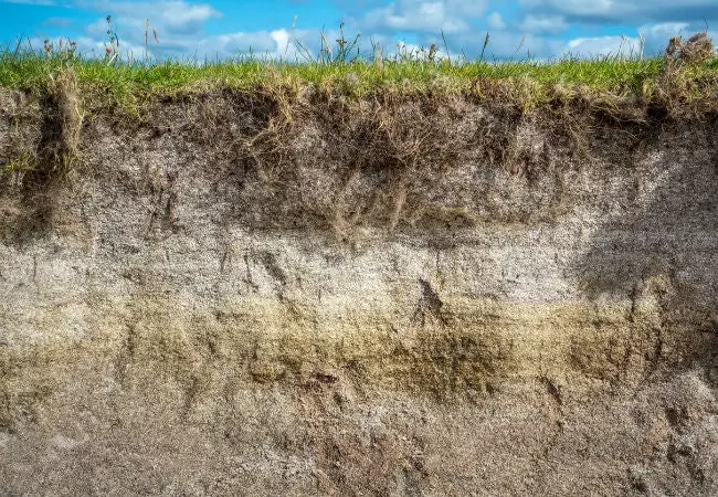 Cómo conseguir tierra arcillosa en tu jardín