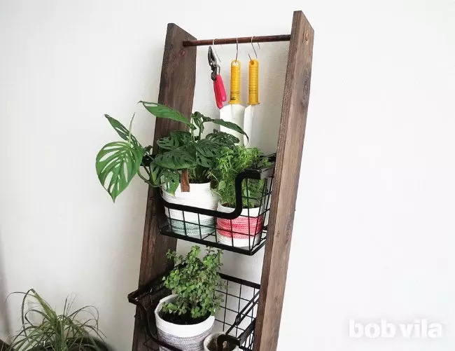 如何DIY梯子植物架