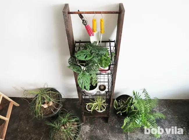 Si të bëni vetë një stendë bimësh në shkallë