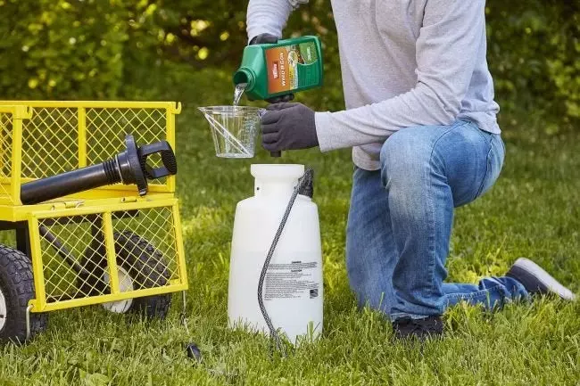 A legjobb rákfűirtó szerek gyommentes pázsitokhoz