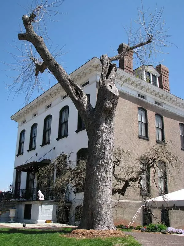 Lemp Mansion, St. Louis, Misuri