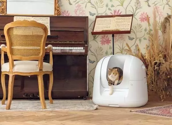 Footloose Automata Cat Potty