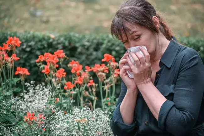 10 maneres en què la jardineria pot estar malalt
