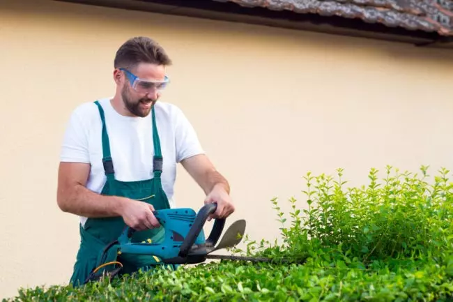 10 τρόποι με τους οποίους η κηπουρική μπορεί να σας κάνει να αρρωστήσετε